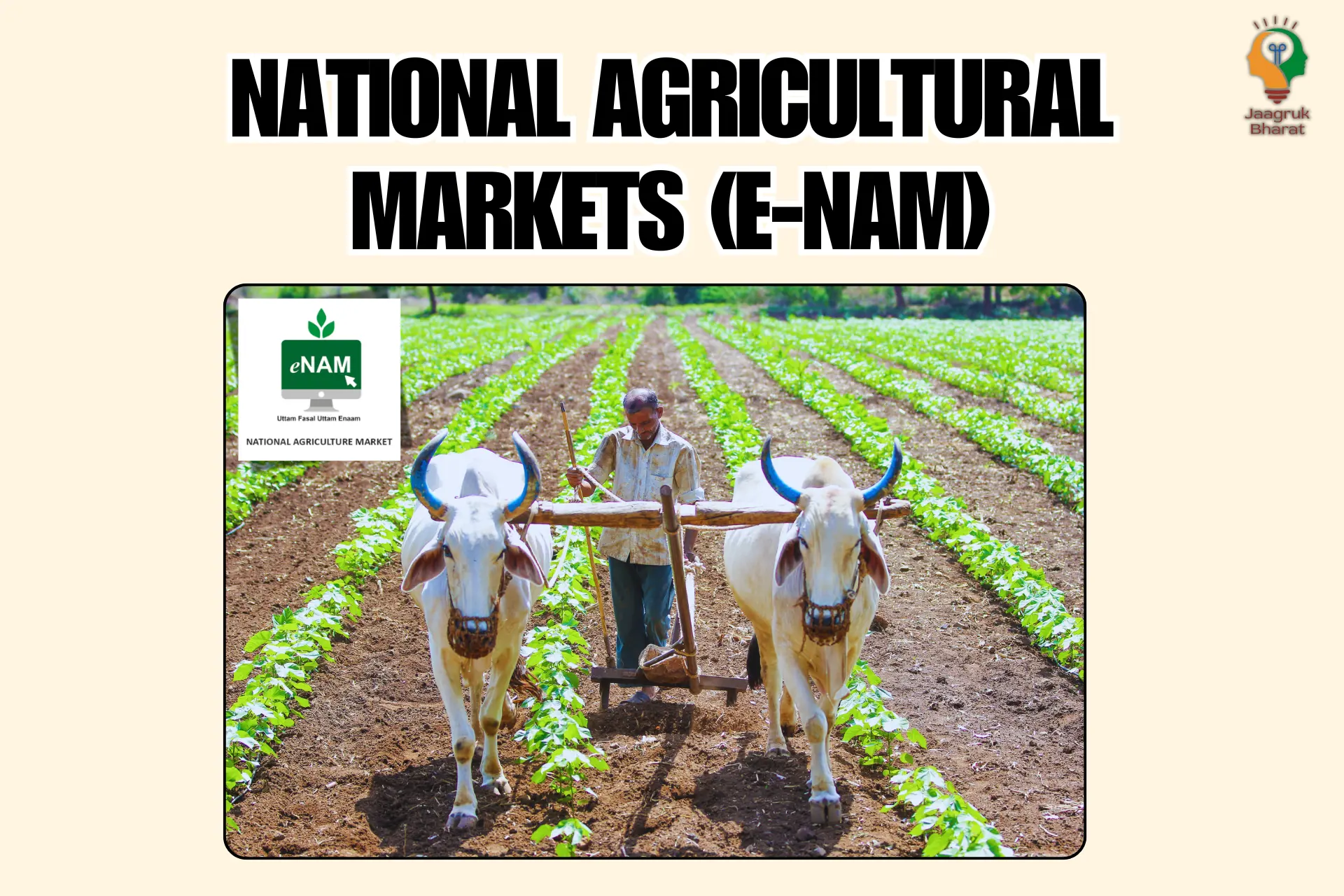 What Are The National Agricultural Markets (e-NAM)?