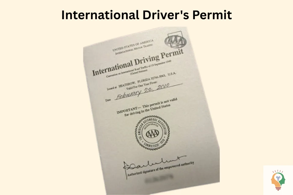 Planning To Drive Overseas? Get Your International Driving Permit Today