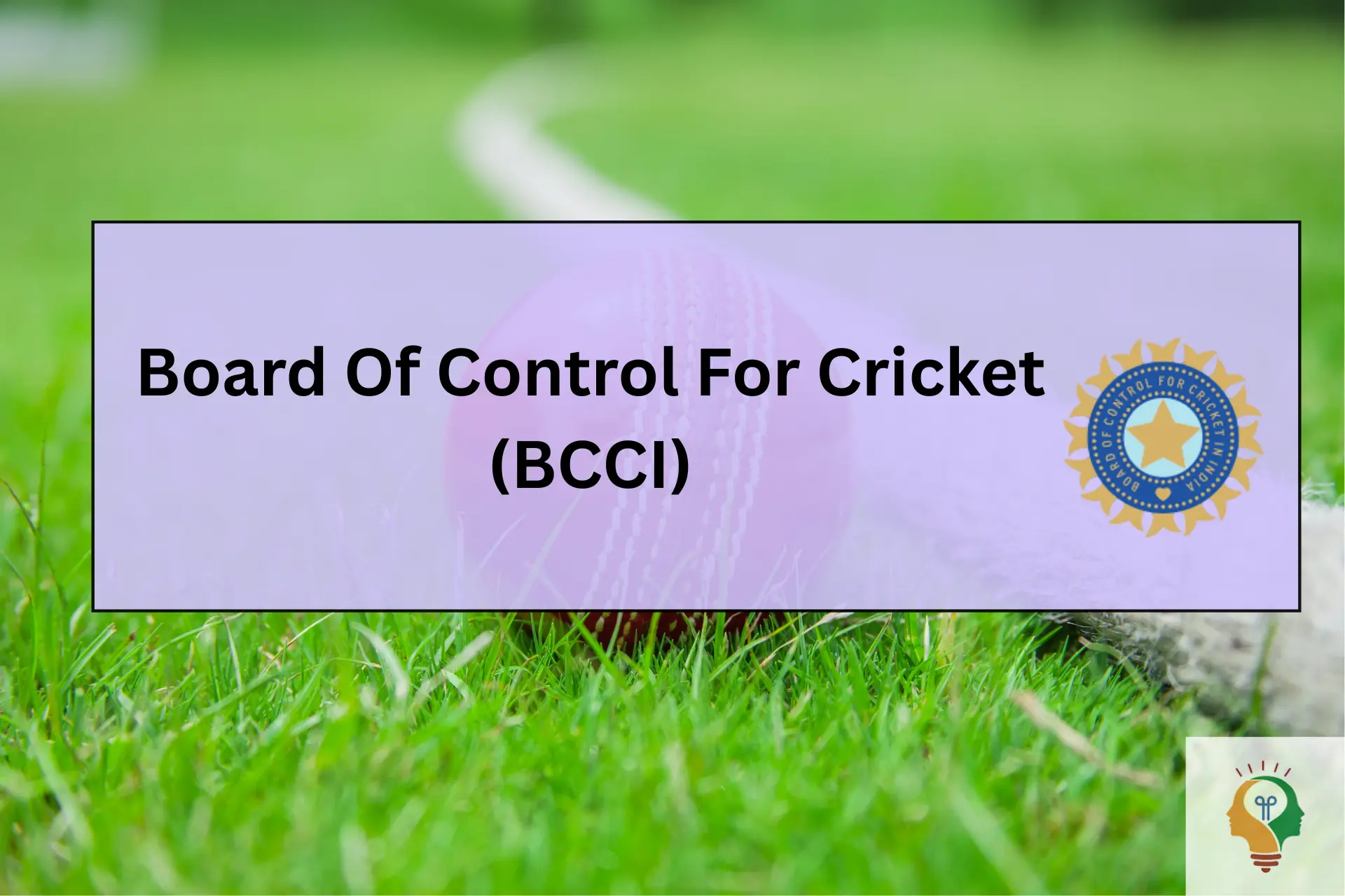 Board Of Control For Cricket (BCCI) And Its Role In India?