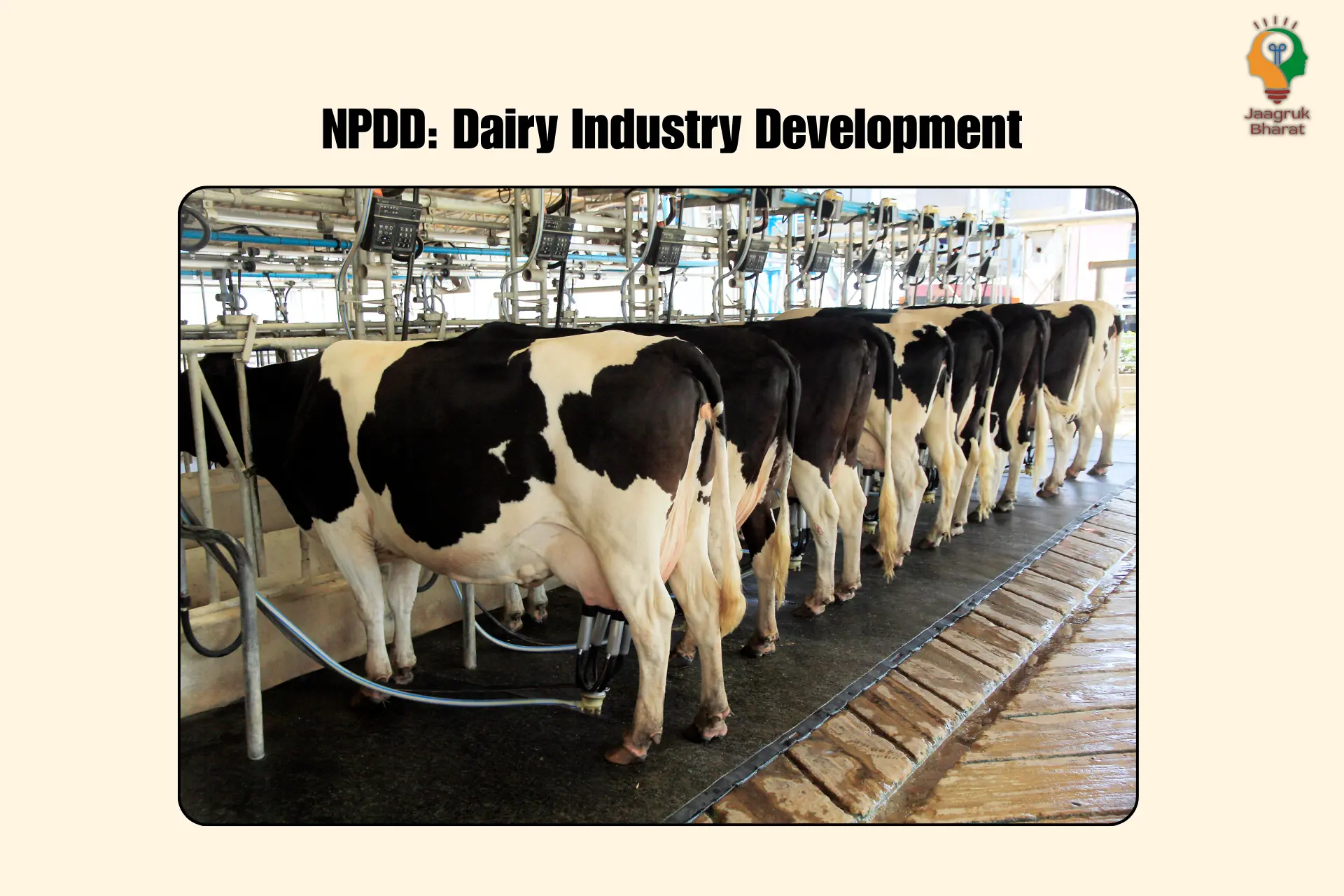 NPDD: Exploring India’s Dairy Industry Development