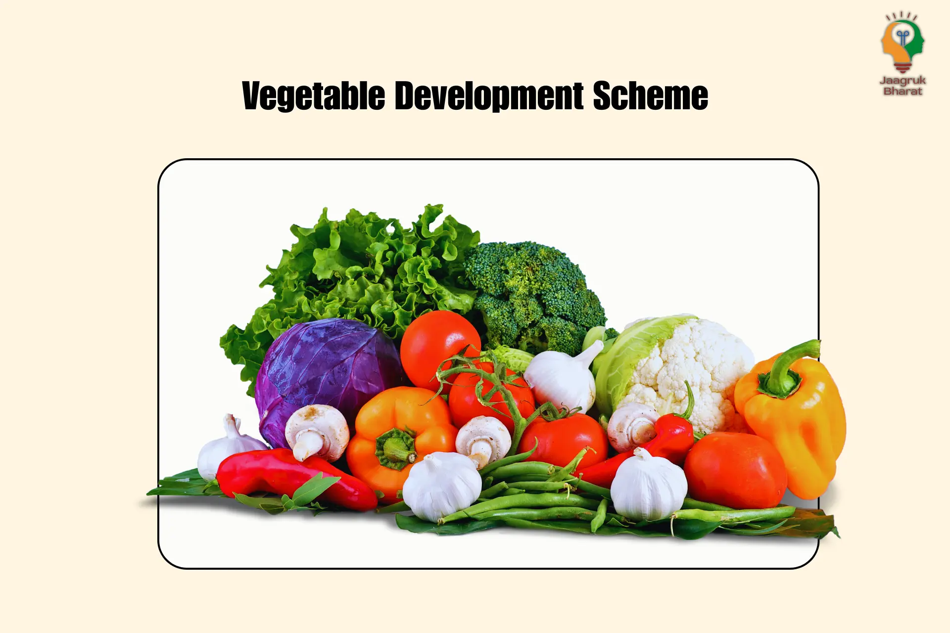 The Future Of Agriculture With The Vegetable Development Scheme ...